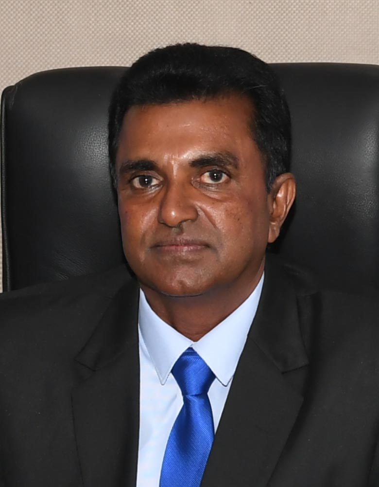 Director - Archaeology